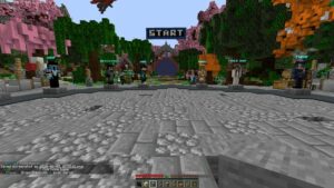 Best Solo Leveling Minecraft Servers — Minecraft Servers List