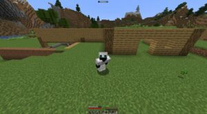 Best Java Bedrock Crossplay Minecraft Servers — Minecraft Servers List