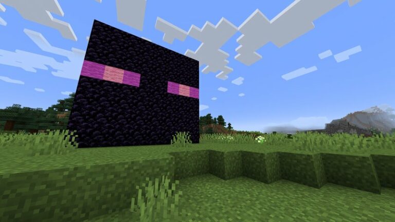 Enderman Nation Anarchy Minecraft Server IP Information — Minecraft ...