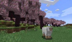 Best Semianarchy Minecraft Servers — Minecraft Servers List